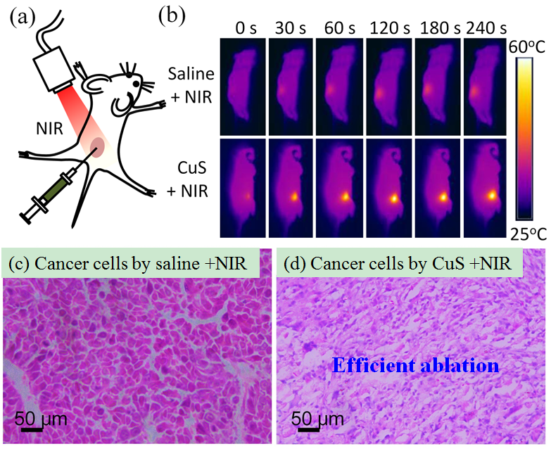 NIR-light-converting Materials for Biomedical Applications