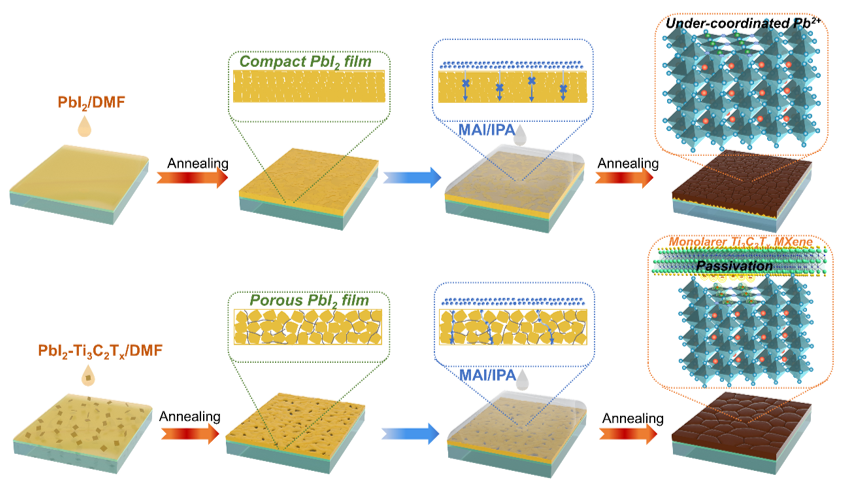 AFMG《CEJ》：MXene纳米片调控两步法钙钛矿反应性获得稳定高效太阳能电池
