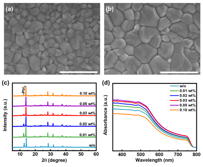 AFMG《CEJ》：MXene纳米片调控两步法钙钛矿反应性获得稳定高效太阳能电池