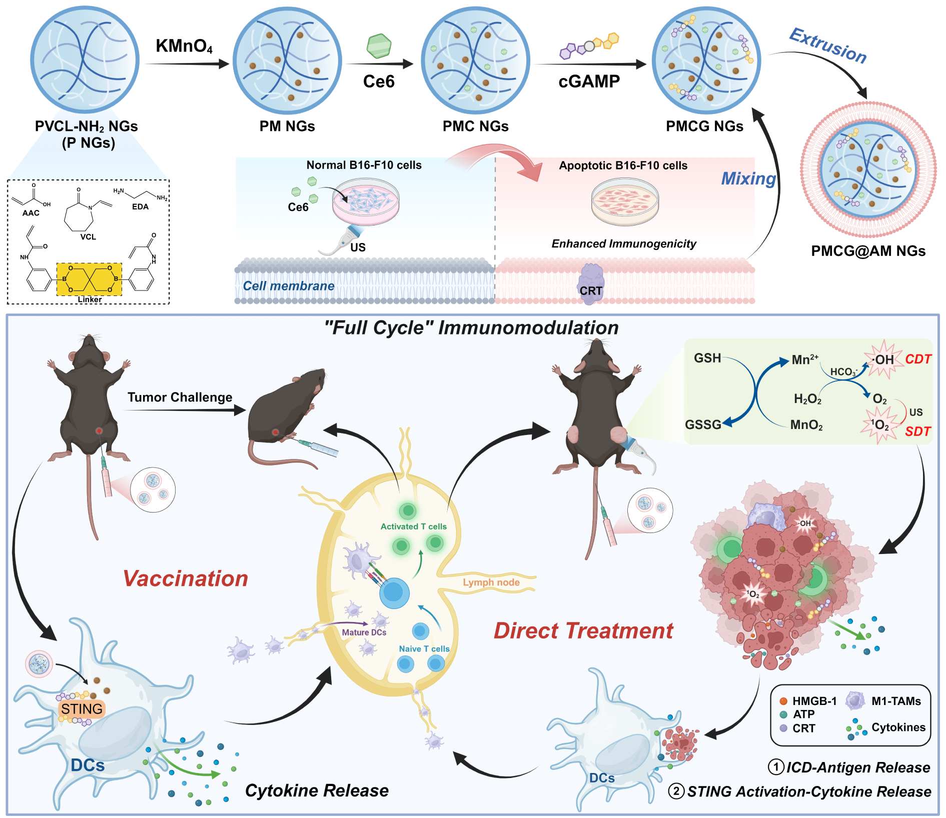 2024年9月，博士生郭云琦的论文被Bioact. Mater. 正式接收发表