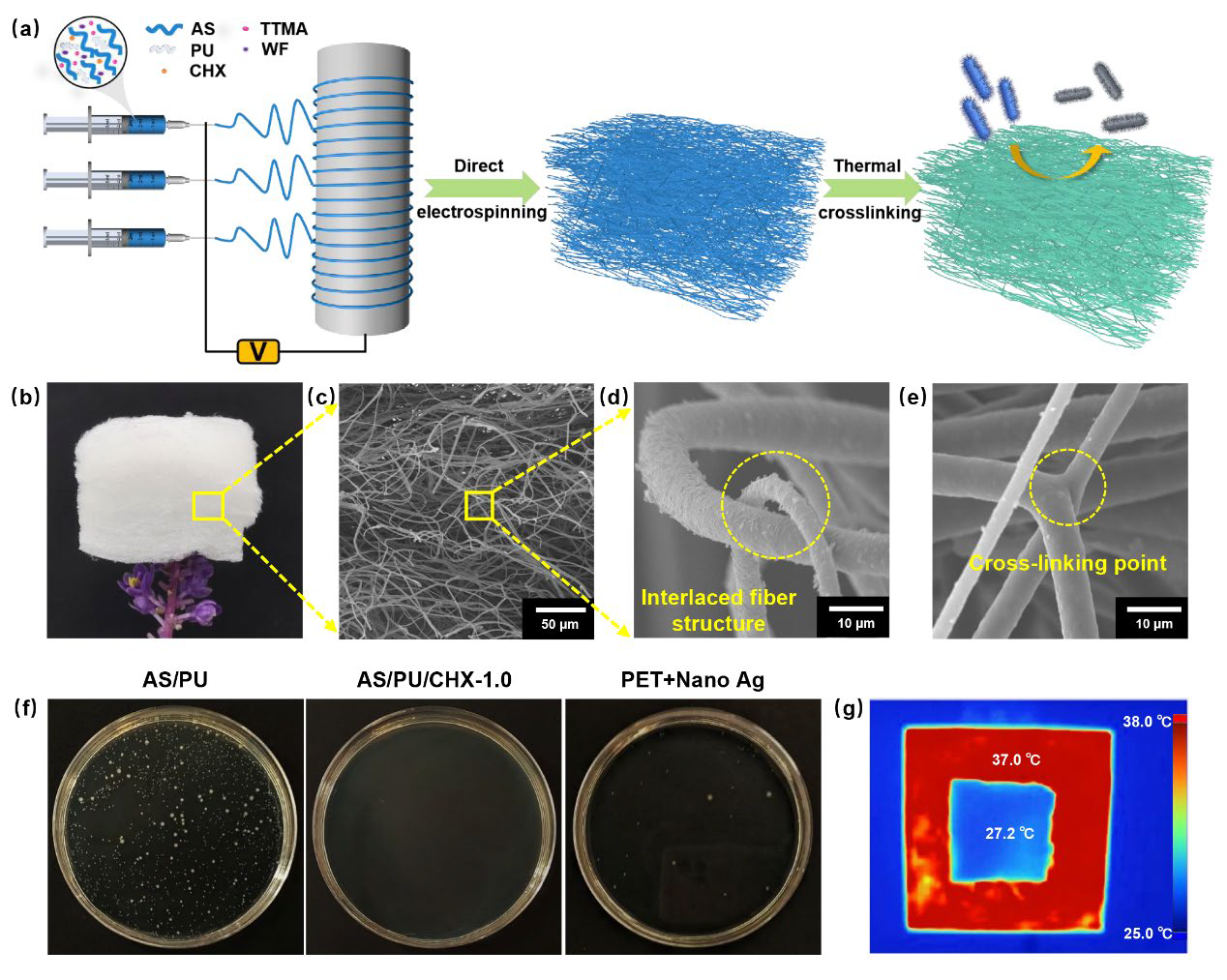 纳米纤维研究中心（丁彬）