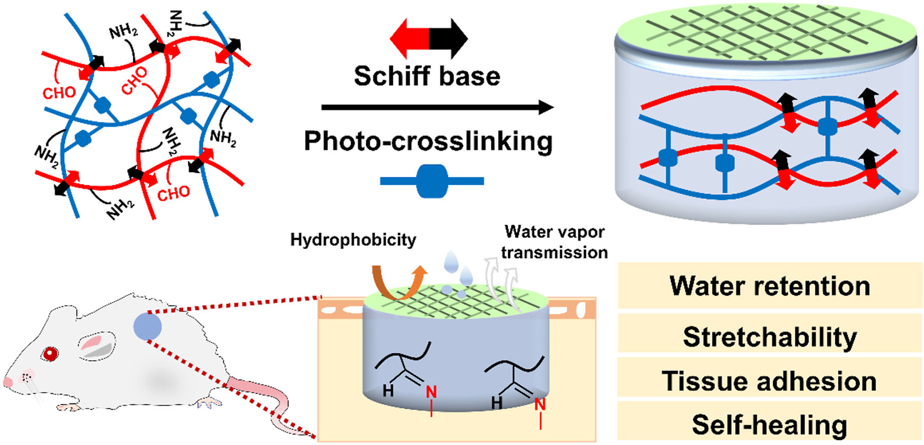 纳米纤维研究中心（丁彬）