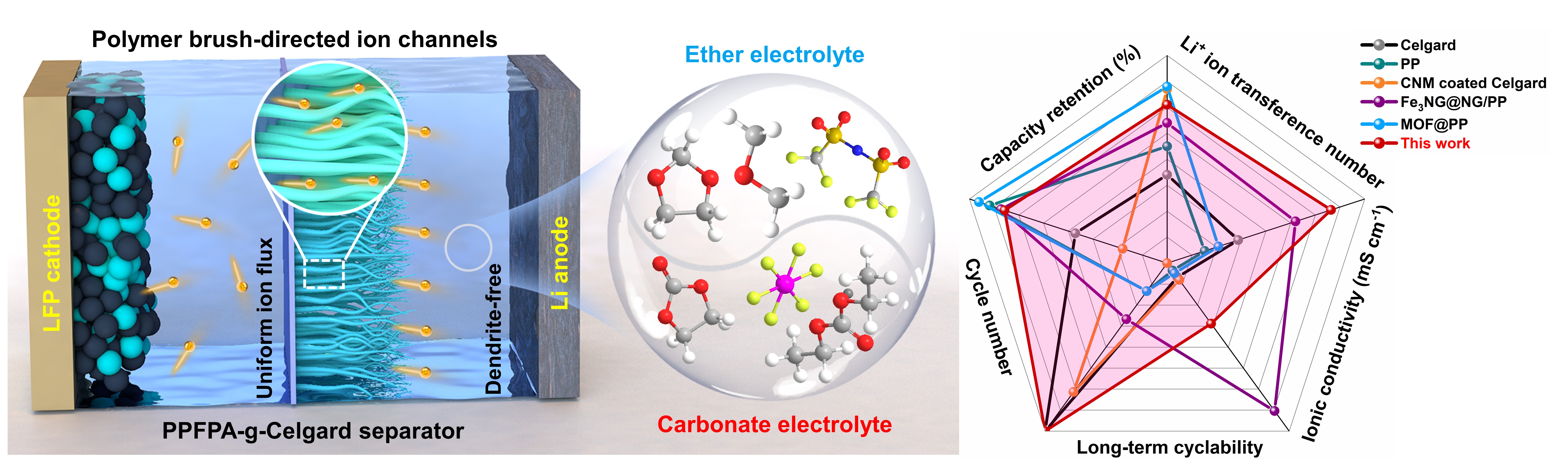 Precise control of Li+ directed transport via electronegative polymer ...