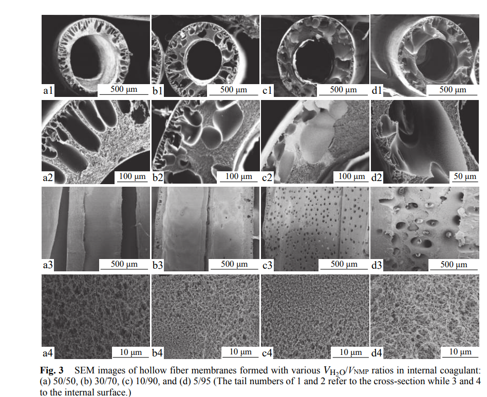 Chinese Journal of Polymer Science, 37 (2019): 815–826.