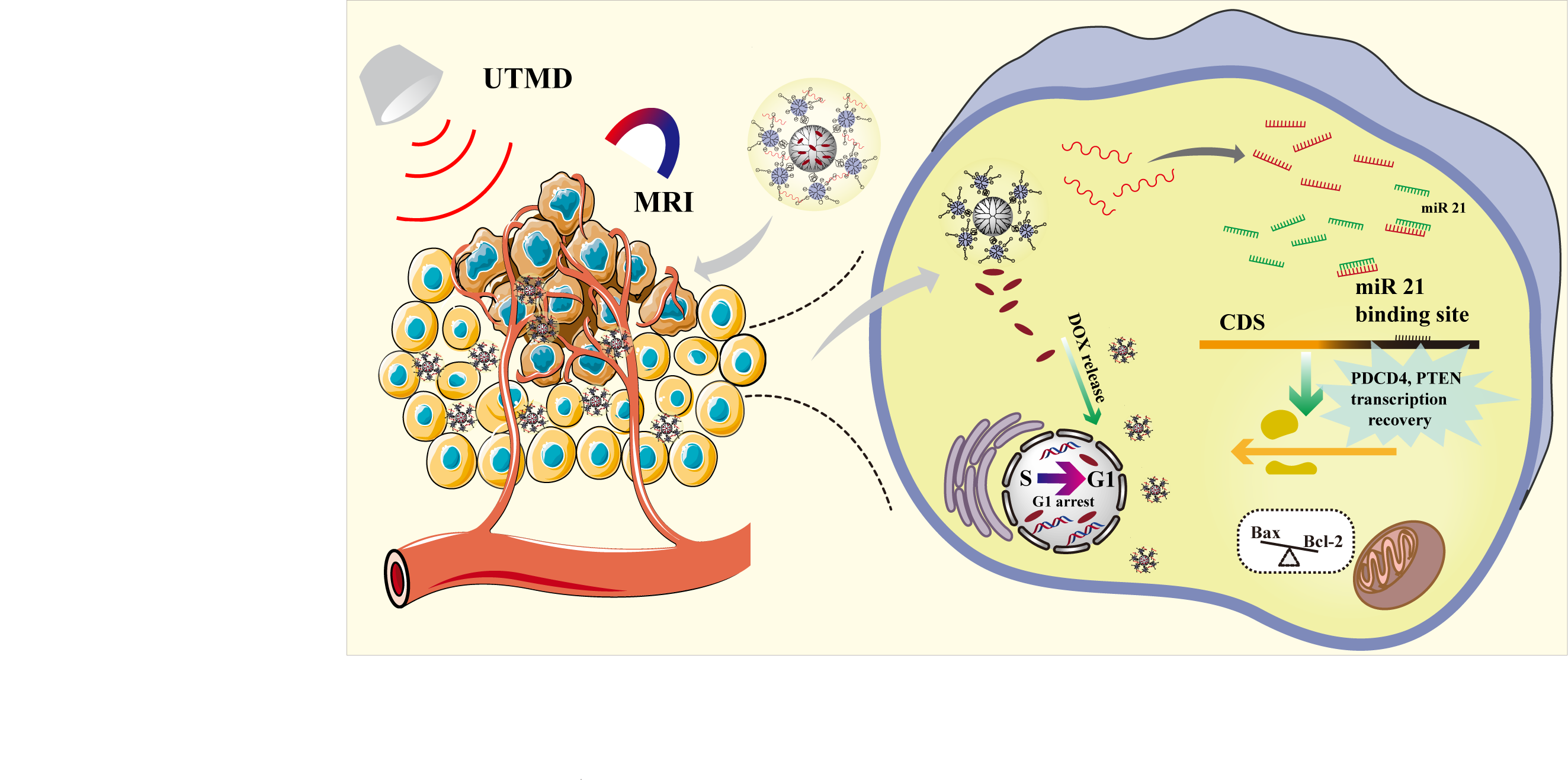 2023年4月，研究生巩军丽的论文被 Biomater. Sci. 正式接收发表